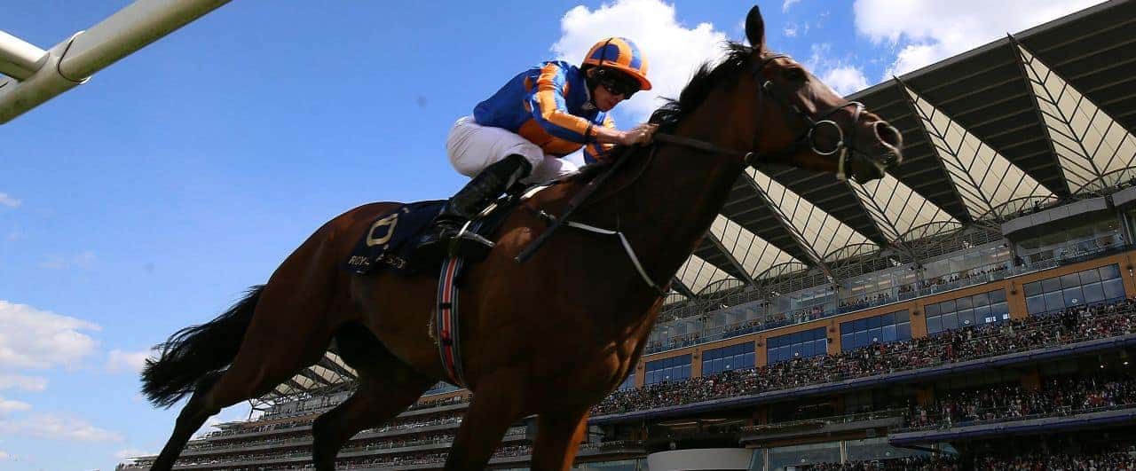 Magic Wand heads betting for 2018 Irish Oaks after declarations