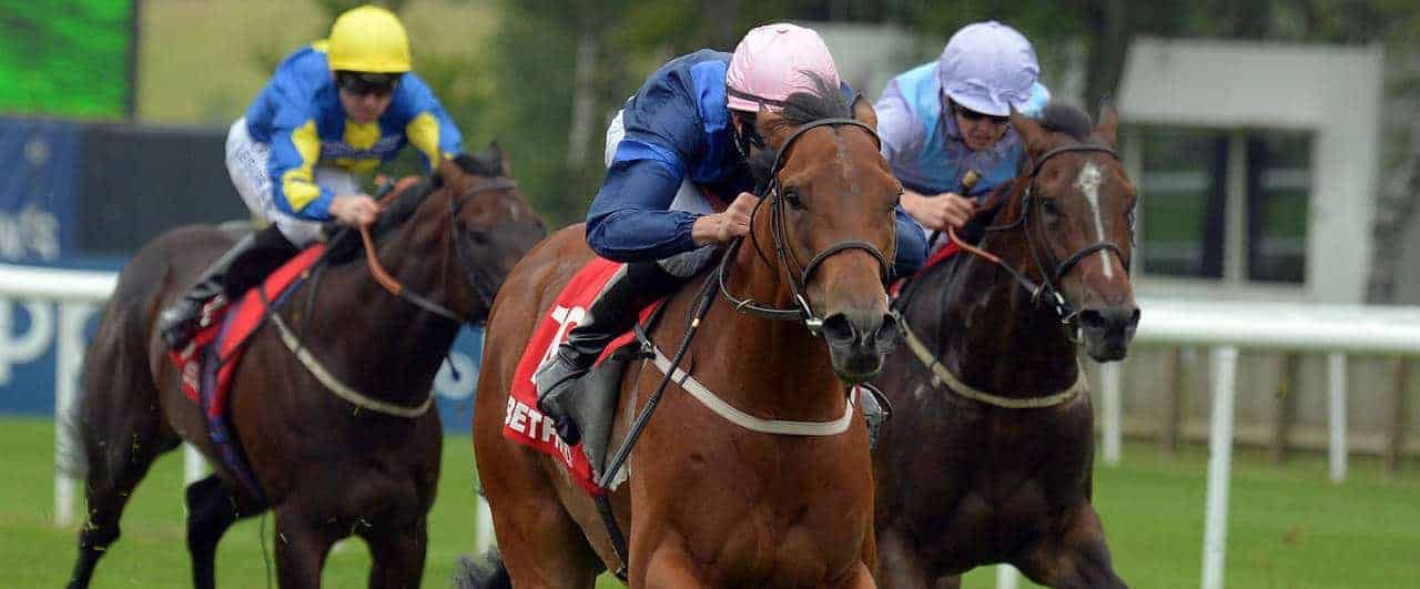 Newbury preview: Sagaciously weighted to strike under Doyle