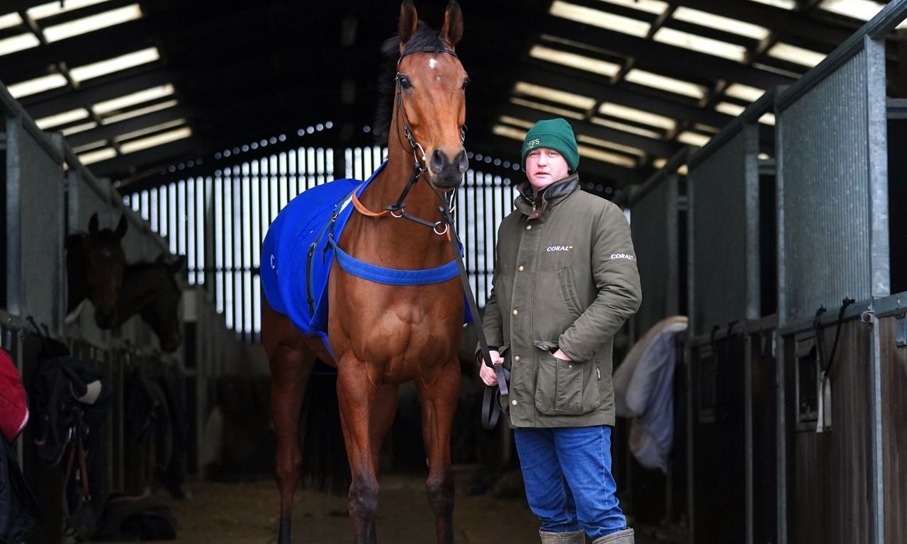 Taking the Reins: Behind the scenes with trainer Joe Tizzard