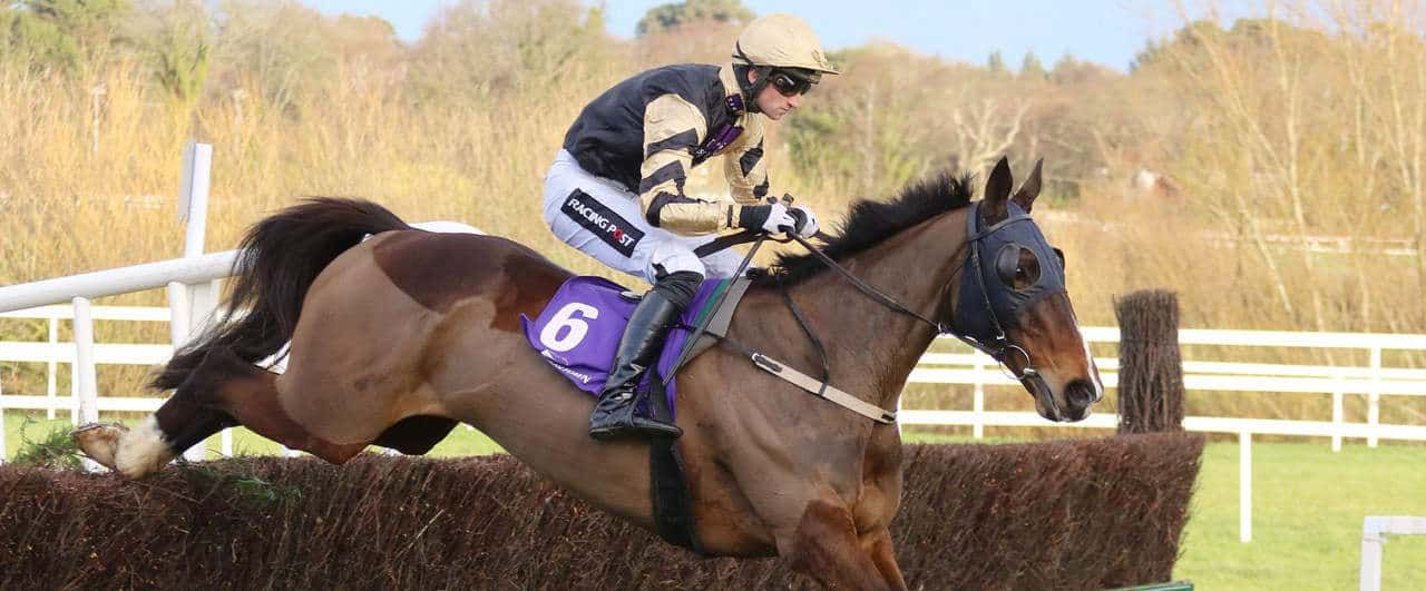 2016 Grand National runner profile: On His Own