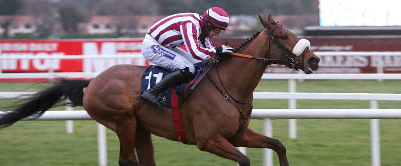 Noble Endeavor looks tasty in Troytown at Navan