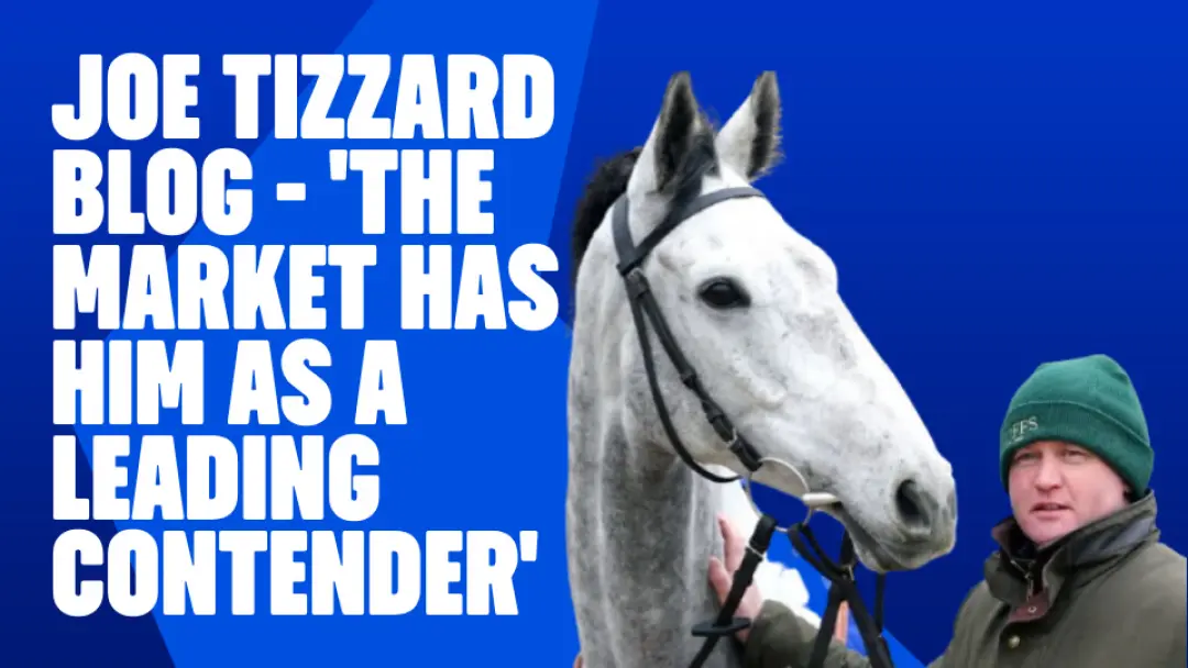 Joe Tizzard Friday runners blog - November 7, 2025