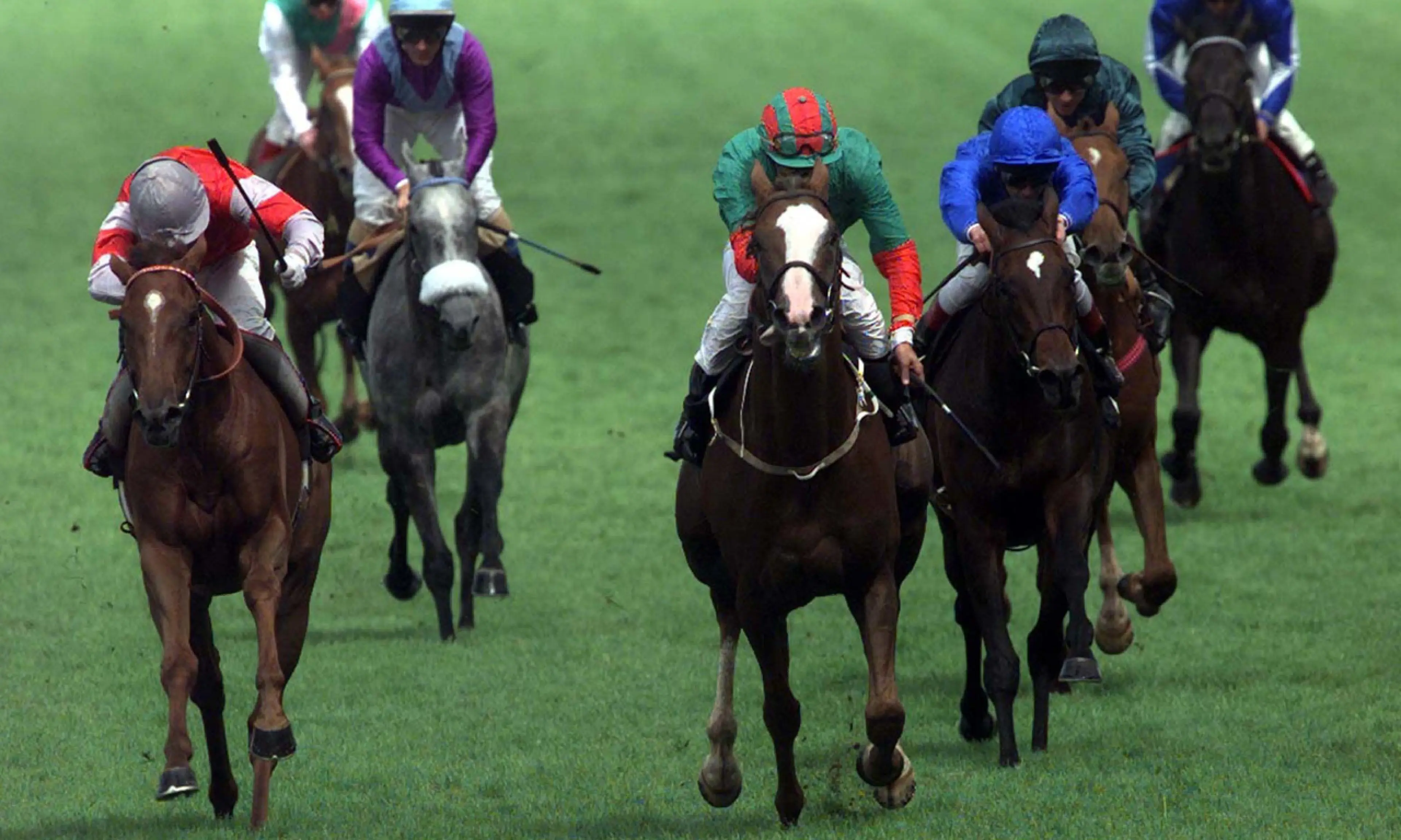 Goodwood Cup past winners: Holland recalls fan favourite Double Trigger