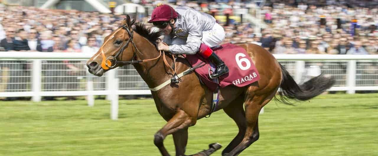 Mehmas can steam to success in National Stakes at Sandown