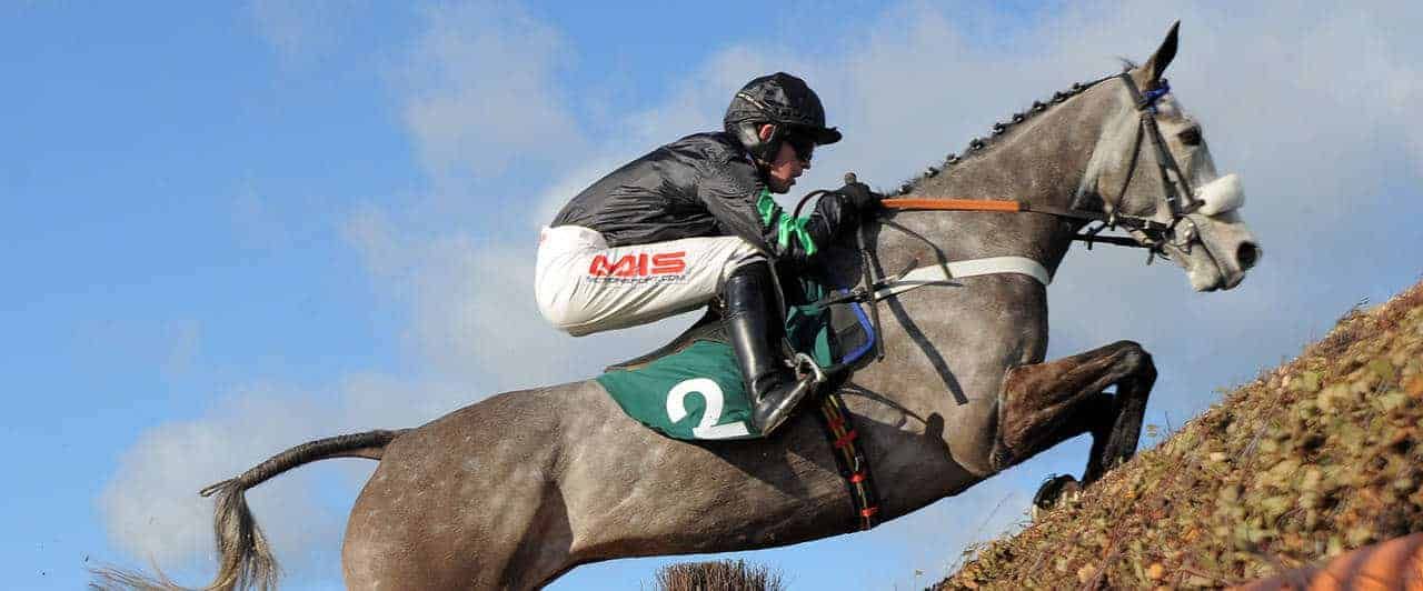 2015 Grand National runner profile: Corrin Wood