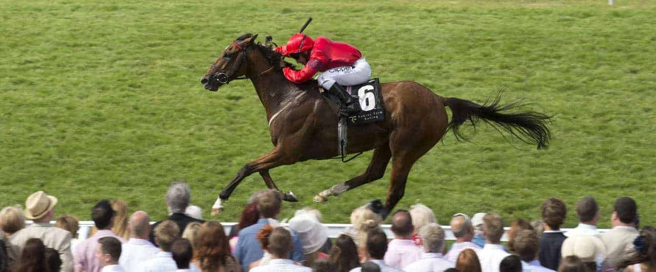 Glorious Goodwood (14.00): Rex Imperator weighted to reign supreme