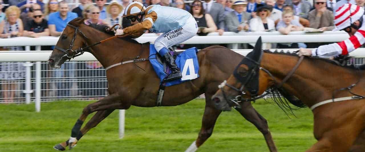Simon Mapletoft – Mid-Week selections