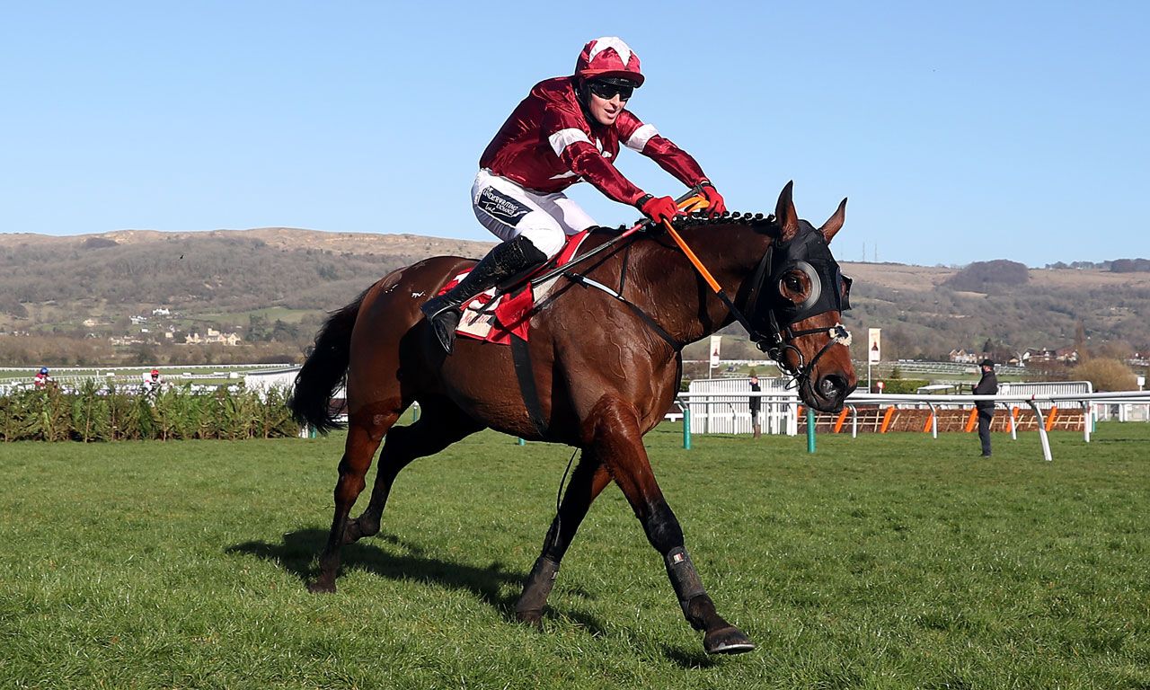 Tiger Roll – the pint-sized horse blessed with the huge heart