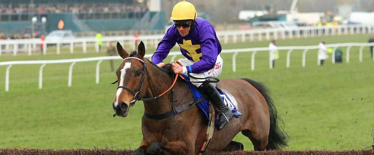 2015 Grand National runner profile: Lord Windermere