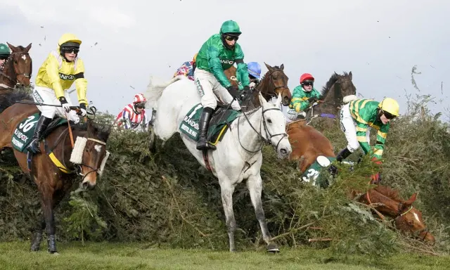 A guide to the fences on the Grand National course