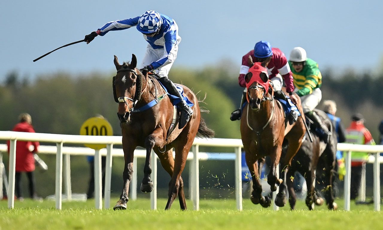 The key stats behind the Irish Grand National
