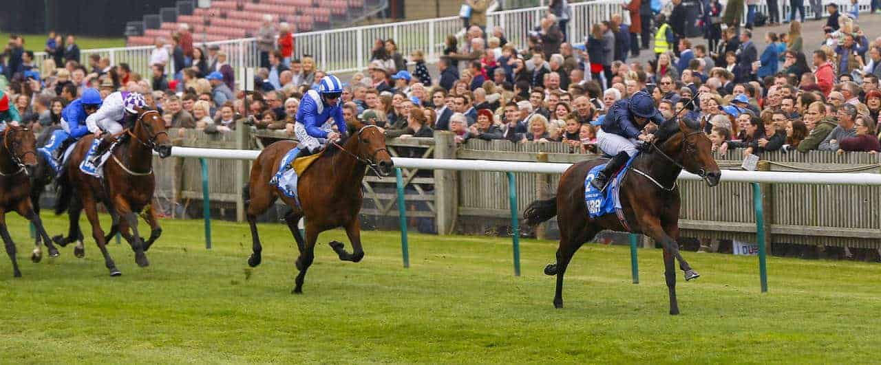 Massaat is massive each-way value in 2000 Guineas