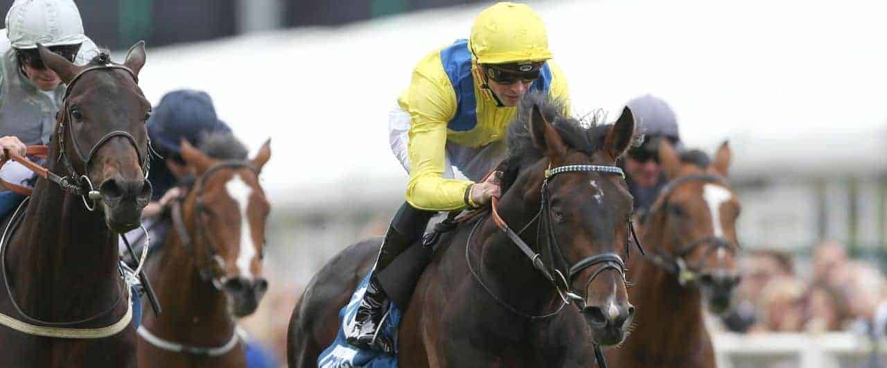 Racing Tips: Young Rascal and Phoenix Of Spain to take flight?