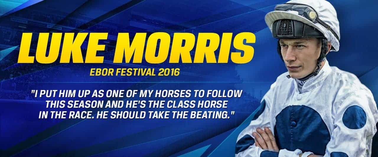 Luke Morris thinks Limato is the one that jumps out for Nunthorpe Stakes