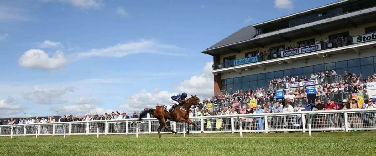 Carlisle preview: Circuitous weighted to strike