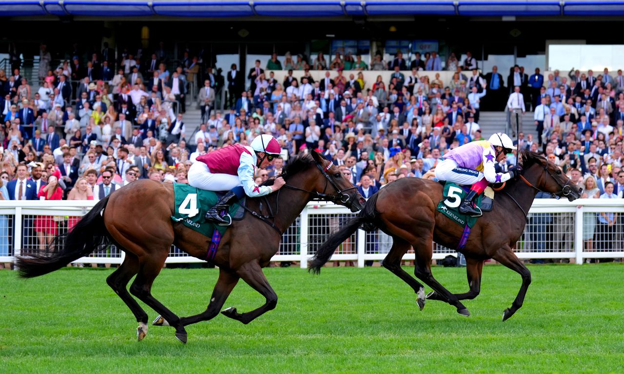 Hackwood Stakes: Dettori eyeing perfect return at Newbury with Lezoo