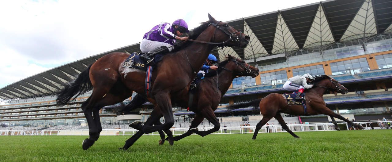 Palace Pier Evens favourite for Queen Elizabeth II Stakes as Mohaather ...