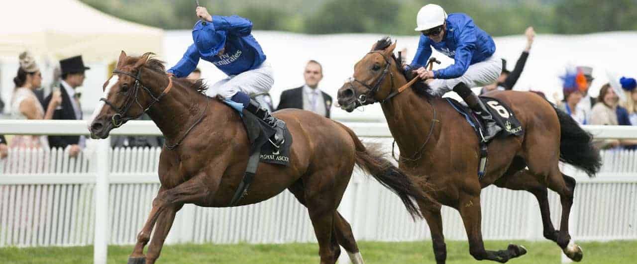 Prize Money an each-way punt in November Handicap at Doncaster