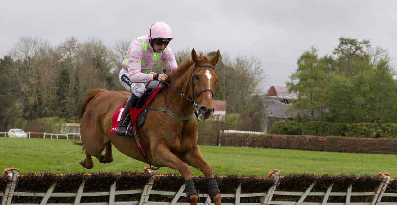 Faugheen and Annie Power hot favourites for Festival Grade 1s
