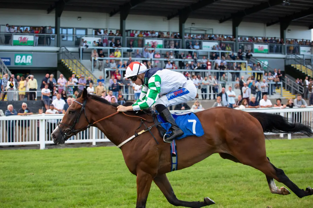 David Probert Glorious Goodwood rides blog - July 31, 2025
