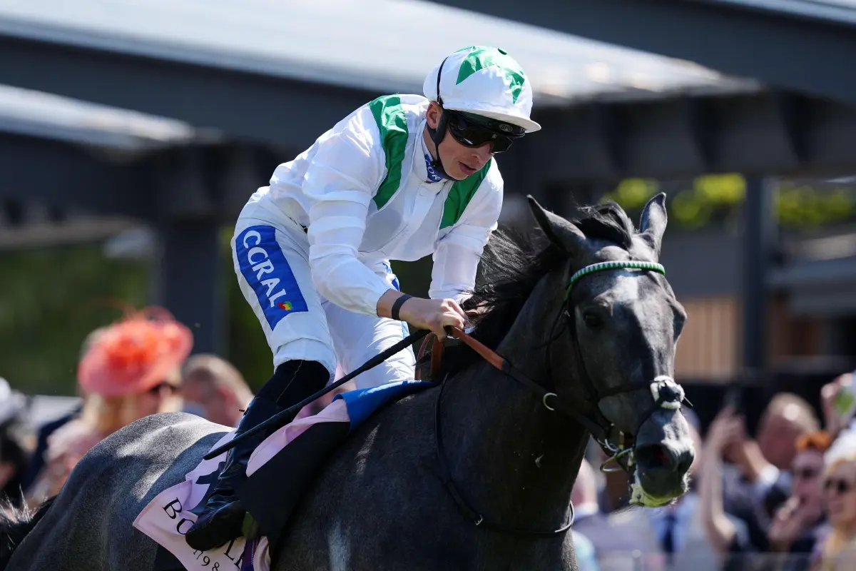 David Probert Glorious Goodwood rides blog - July 30, 2025