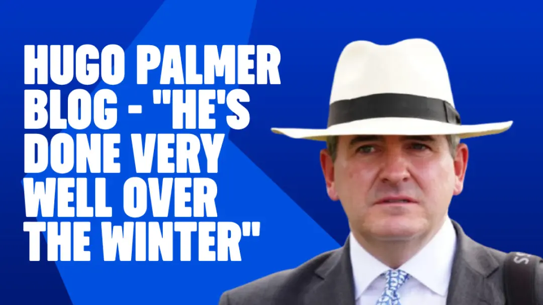 Hugo Palmer Saturday runners blog - March 28, 2026