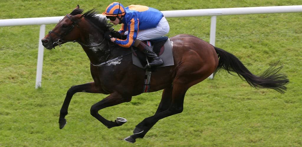 Old rivals both backed for Long Distance Cup success