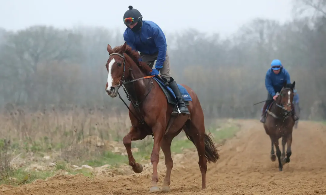 Joe Tizzard: “We will give him an entry in the Grand National”