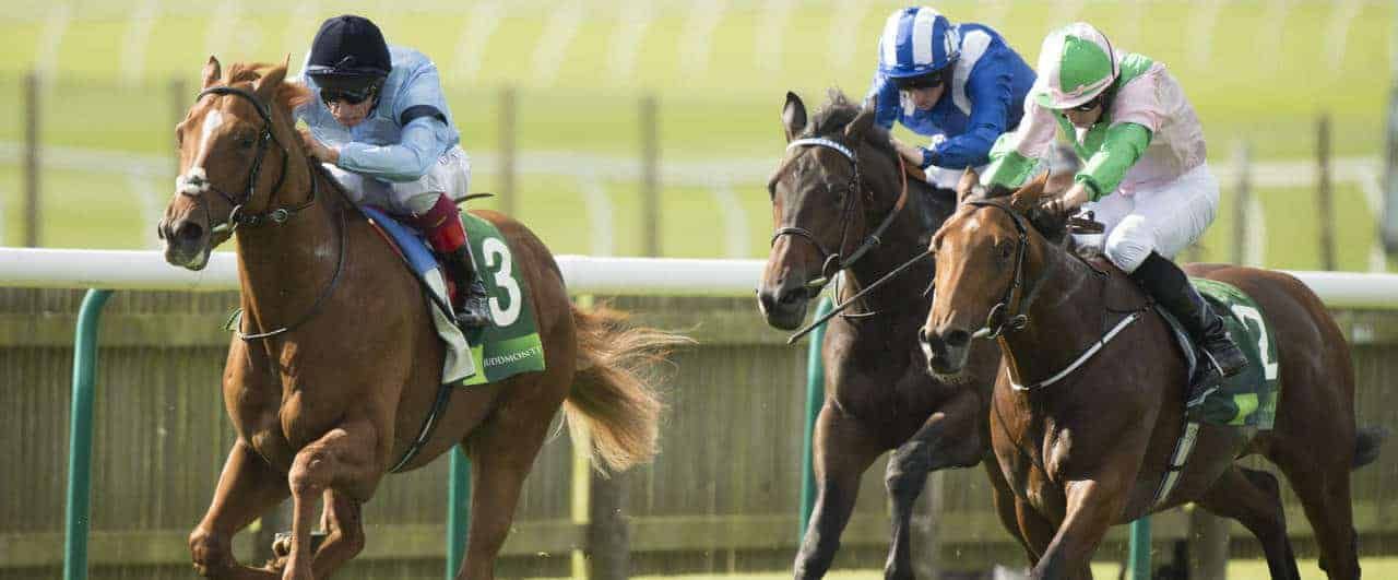 Racing Post Trophy: Can Dettori lay Foundation for Derby success?