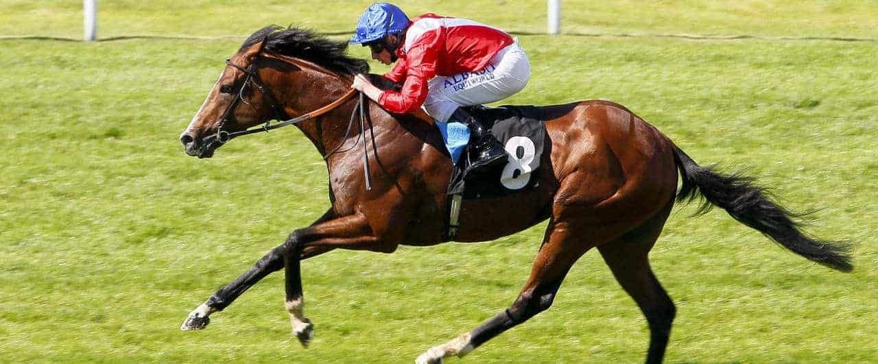 Ayr preview: Russian Realm can rule for in-form O’Meara