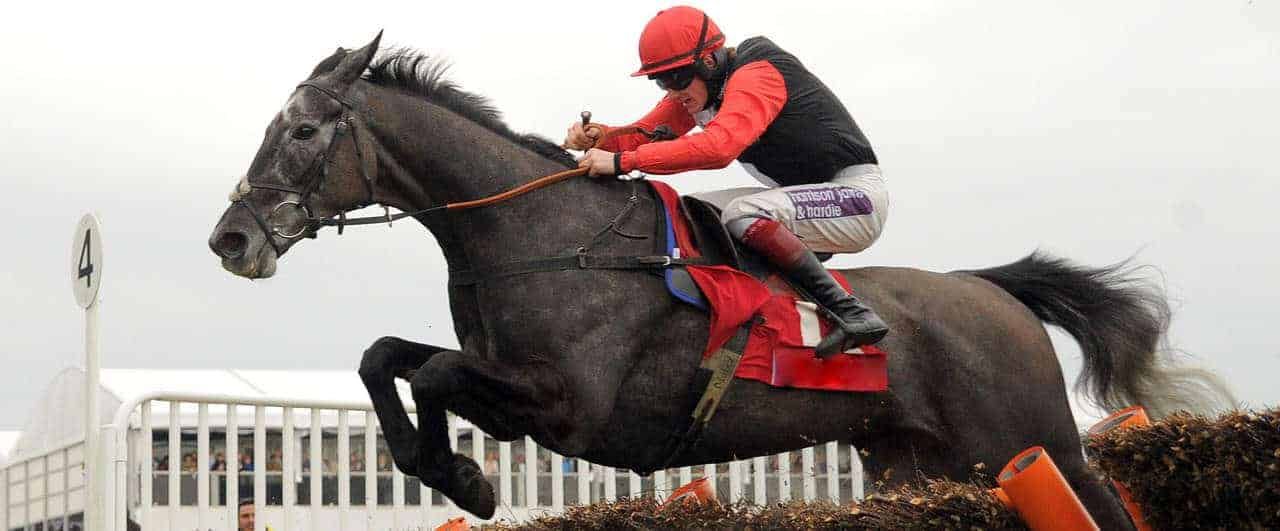 Grand National Runner Profiles 11 – 20