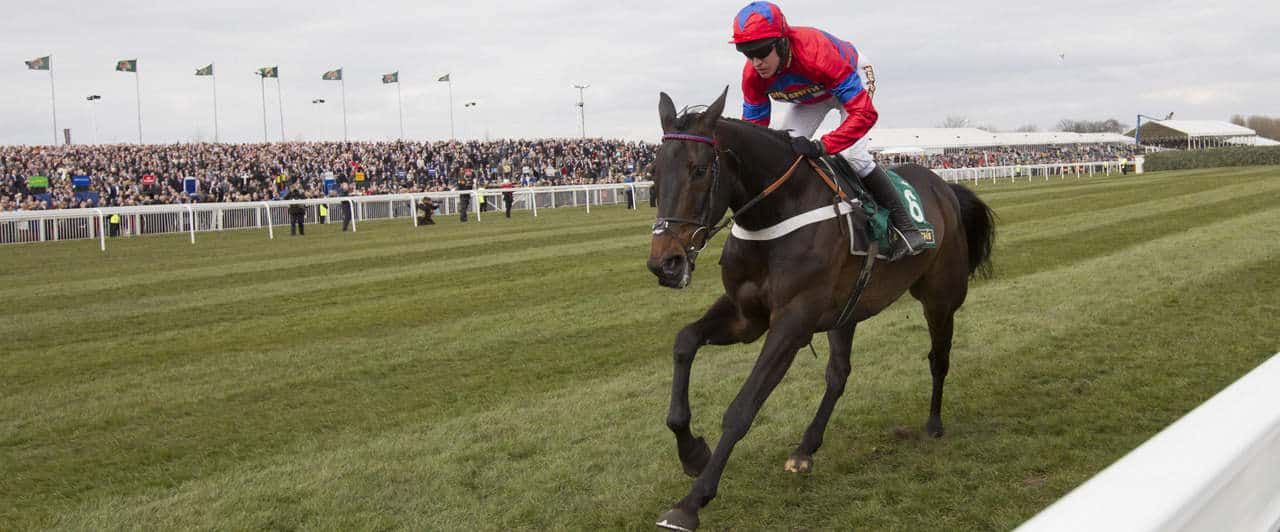Cheltenham preview (14.10): Sprinter Sacre for Shloer Chase