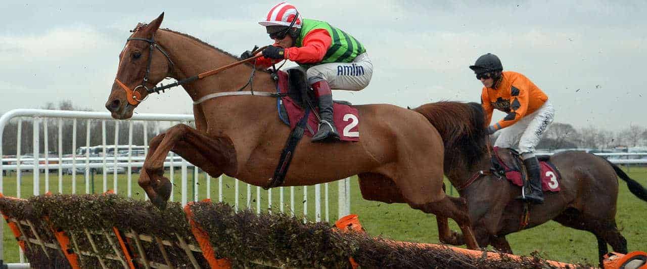 Scottish Grand National Festival: Definitly Red ready to rock in Quarry ...