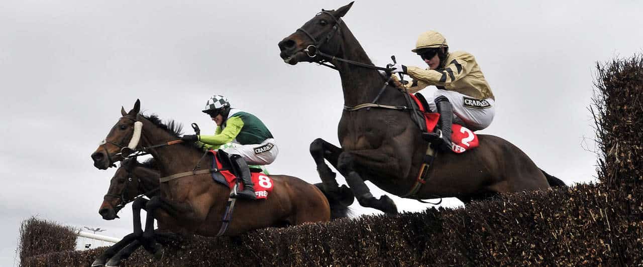 Grand National Runner Profiles 21 – 30