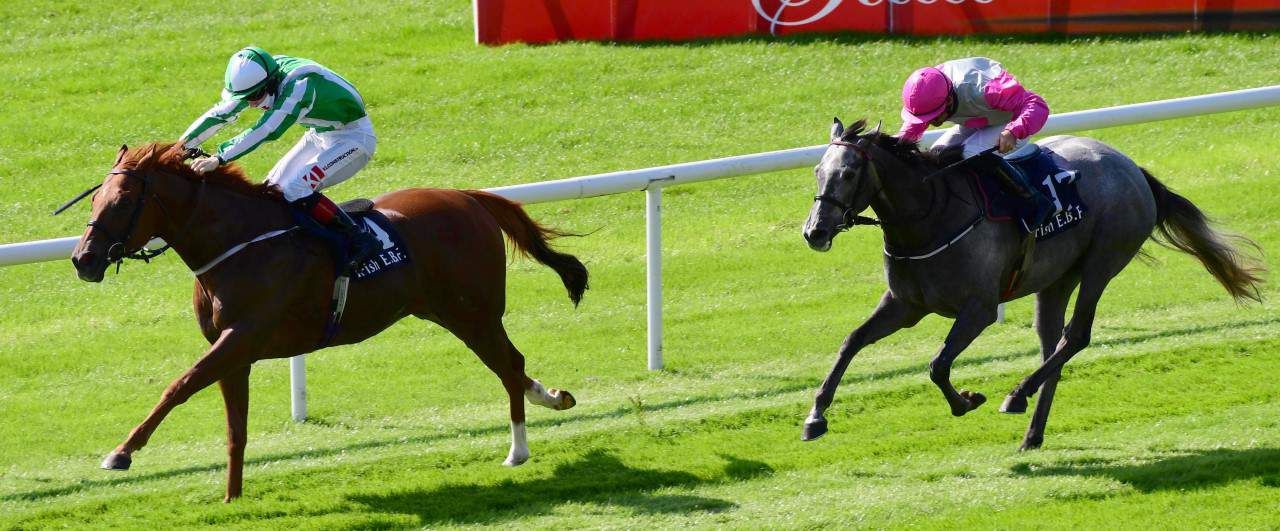 Mr Lupton favourite for Ayr Gold Cup success