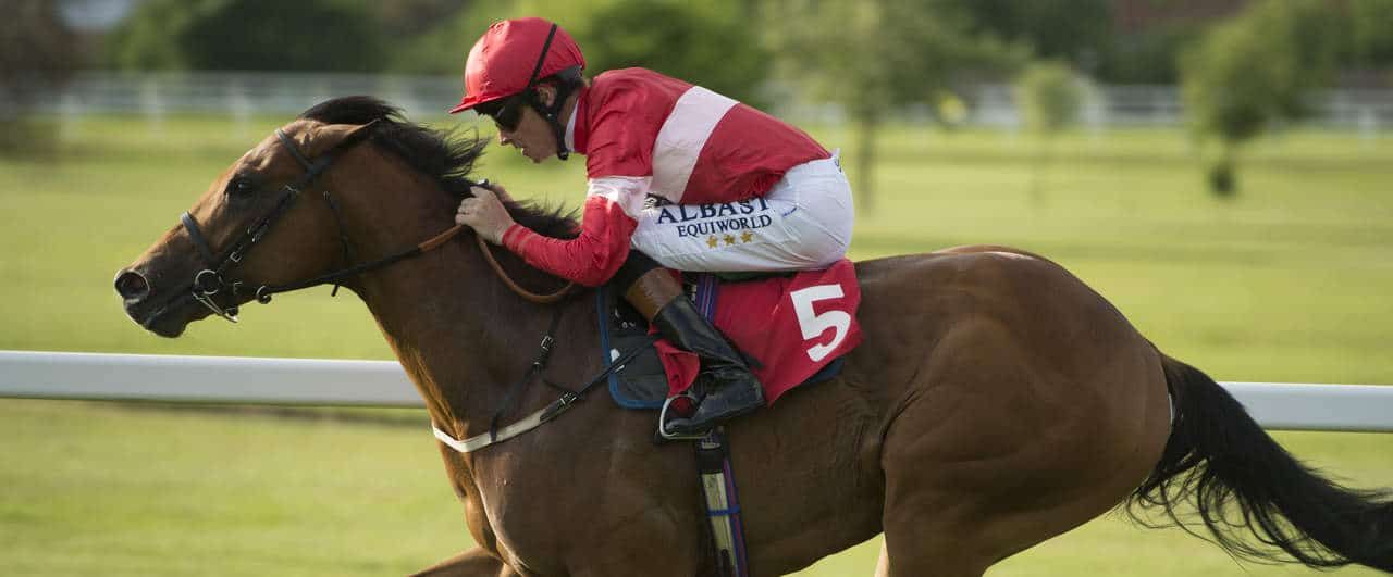 2015 Royal Ascot news round-up: Al Shaqab purchase King Of Rooks