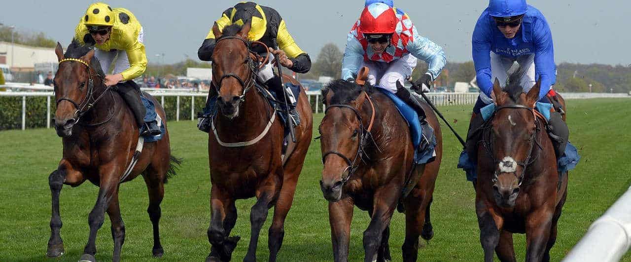 Newbury preview: Class-dropping Dutch Uncle weighted to deliver