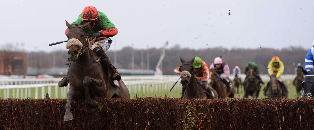 2015 Grand National runner profile: The Rainbow Hunter
