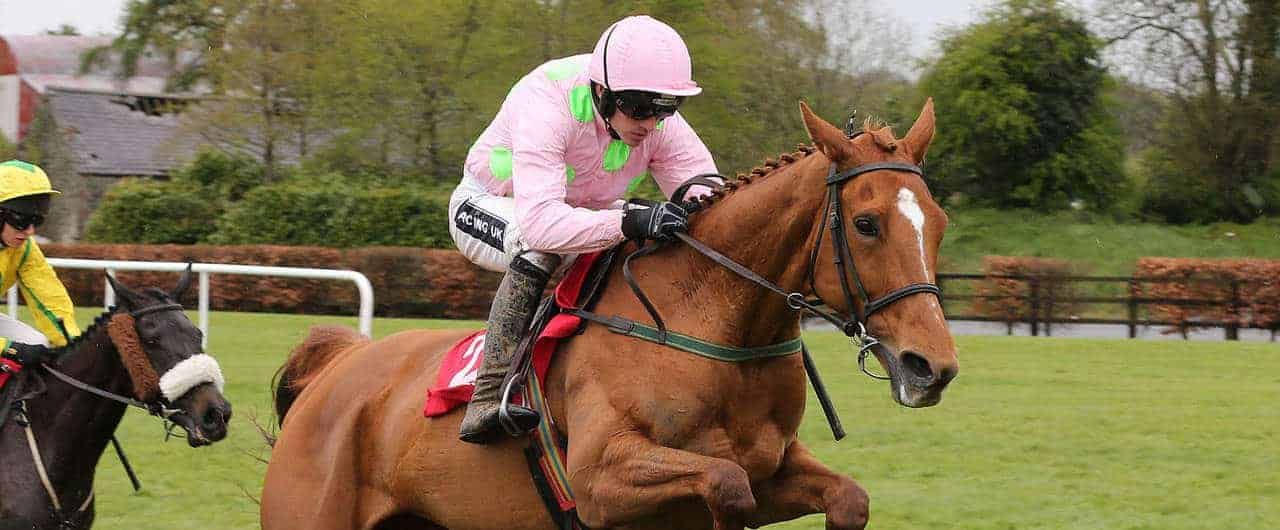 Annie Power new fav for Champion Hurdle as Faugheen ruled out