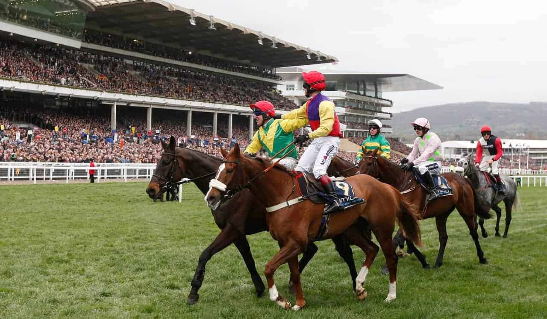 Cheltenham Festival Gold Cup Winners List Cheltenham Festival Gold Cup Winners List