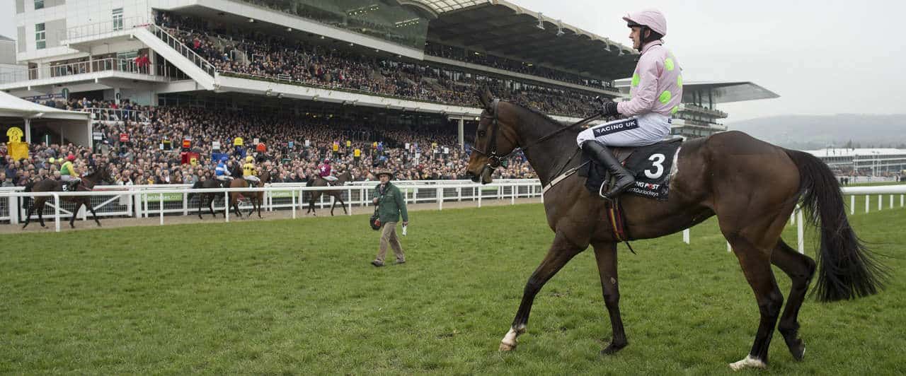 Grand National Festival: Douvan to destroy Maghull rivals