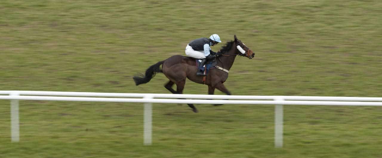 Fontwell and Salisbury previews: Le Bacardy the percentage call