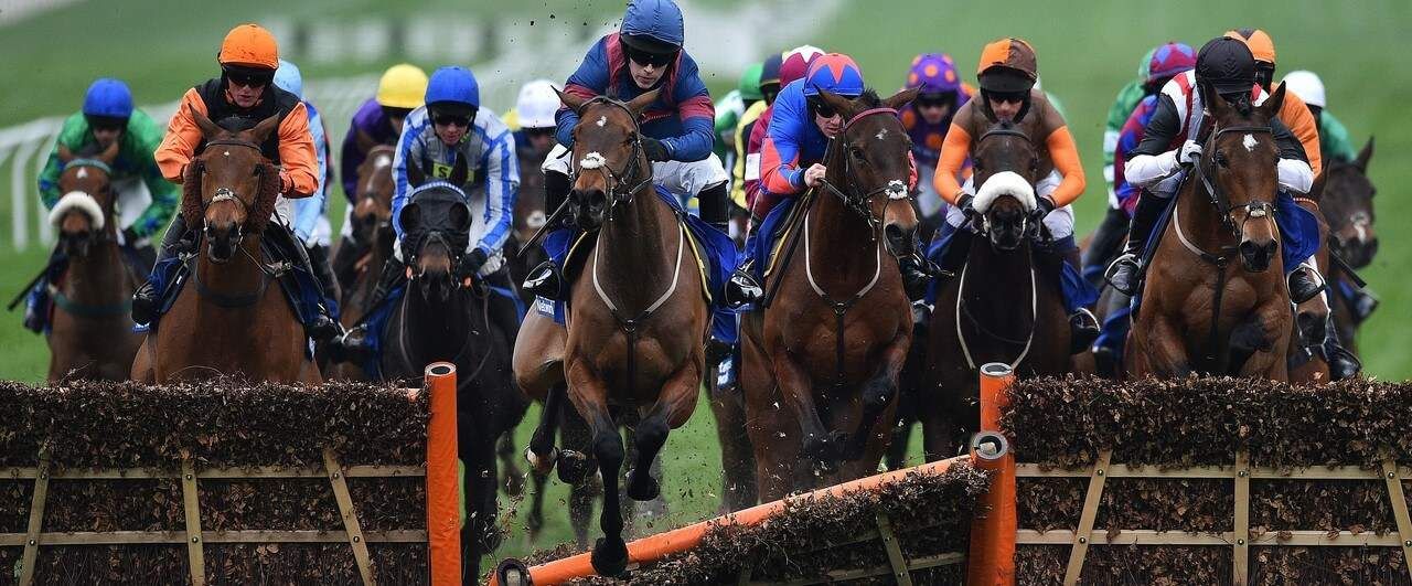 Cheltenham Gold Cup Runners 2019