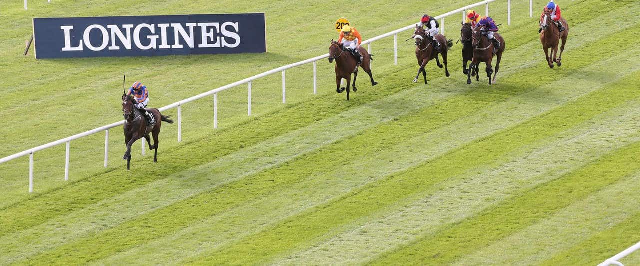 Irish St Leger tips: Order Of St George sets standard, but Wicklow ...