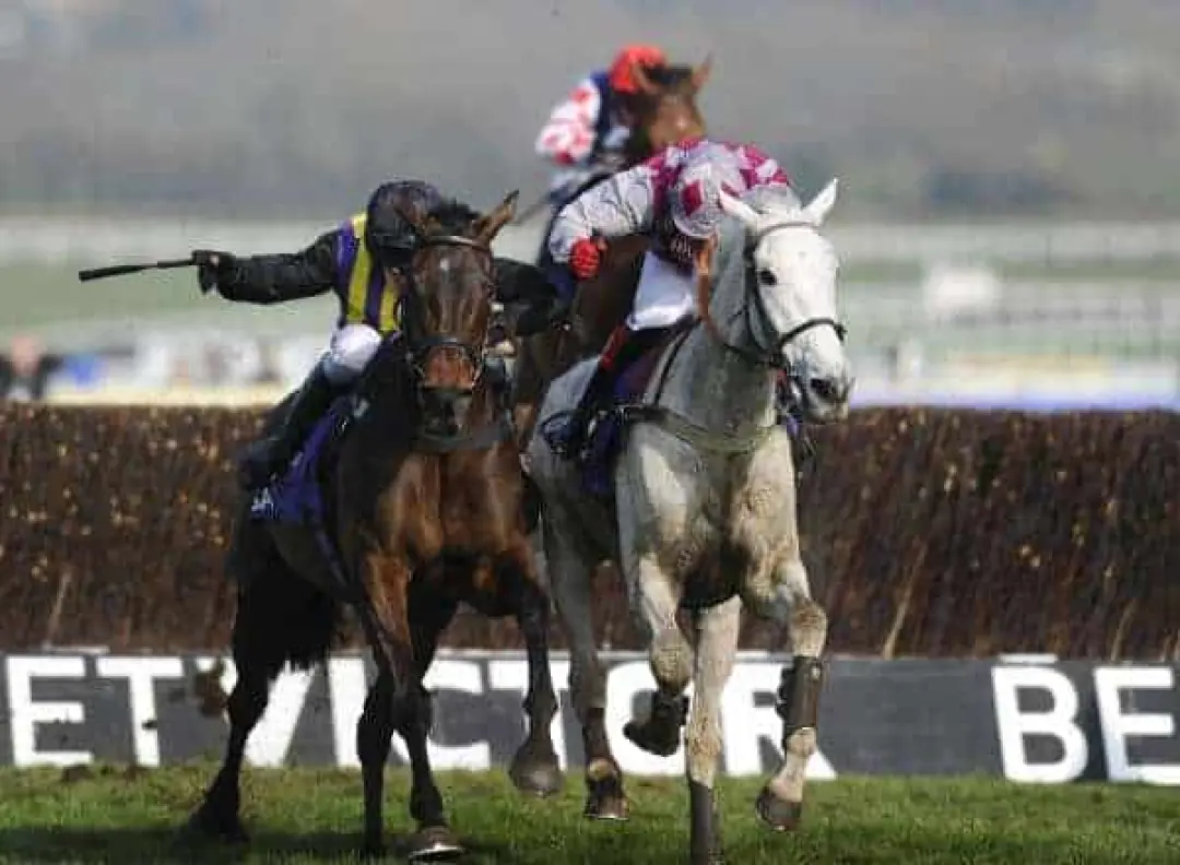 Smad Place all the rage for Festival Trials day glory