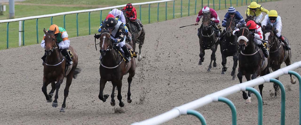 Wolverhampton preview: Pete and Winston a potent combination